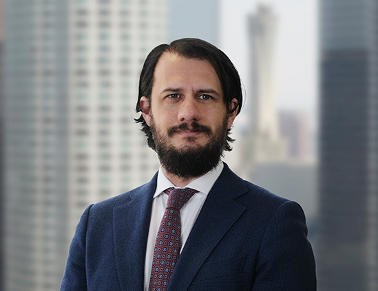 Boies Schiller Flexner LLP - Global Investigations and White Collar Defense