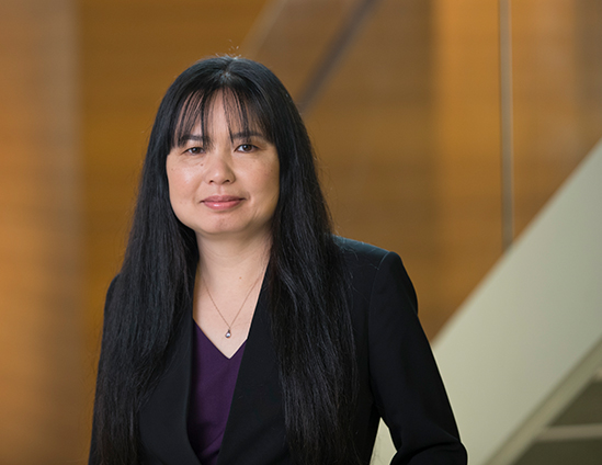 Boies Schiller Flexner LLP - Lawyers