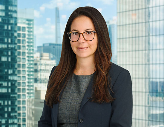 Boies Schiller Flexner LLP - People